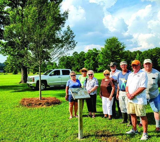 Liberty Tree dedication is July 1 in Pell City | The St. Clair Times ...