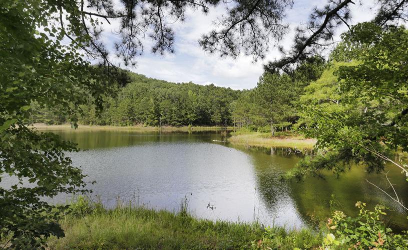 Photos: Yahou Lake at McClellan | News | annistonstar.com