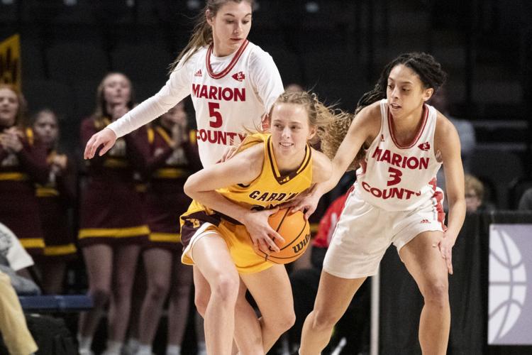 Photos: Spring Garden claims second state title - 1A Girls Basketball ...