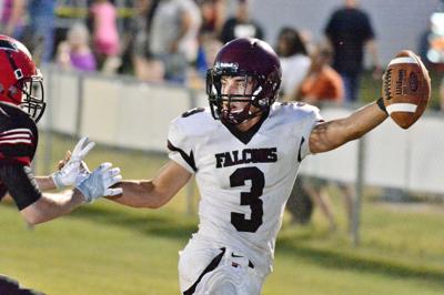 Will Gaines' prep honor roll: Donoho's Steed racks up 259 rushing yards ...