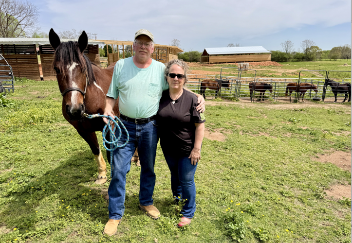 Healing Through Horses: Lineville couple advances veteran housing and ...