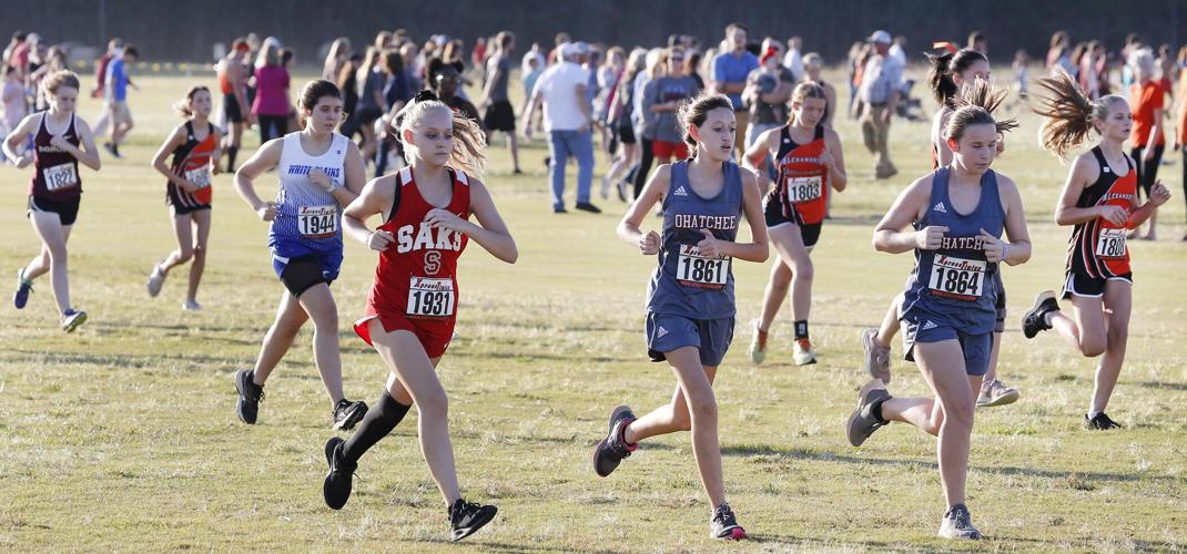Girls cross country: Pleasant Valley's Roberts goes out a champion ...