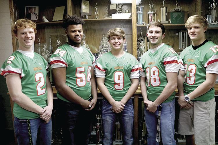2017 St. Clair All-County Football Team named | The St. Clair Times ...
