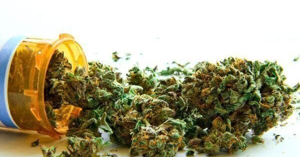 City Council takes first step toward attracting medical cannabis ...