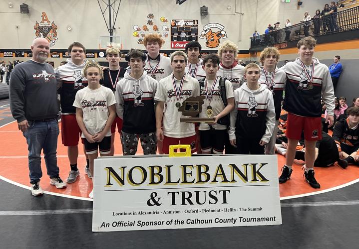 BACK ON TOP: Alexandria boys dethrone Weaver to reclaim Calhoun County ...