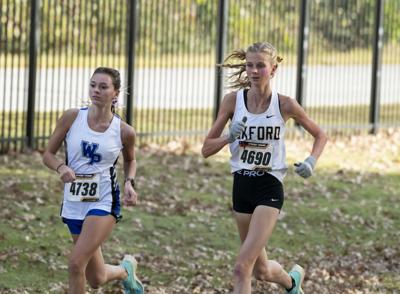Prep XC: Nine area teams qualify for state; four runners sectional ...