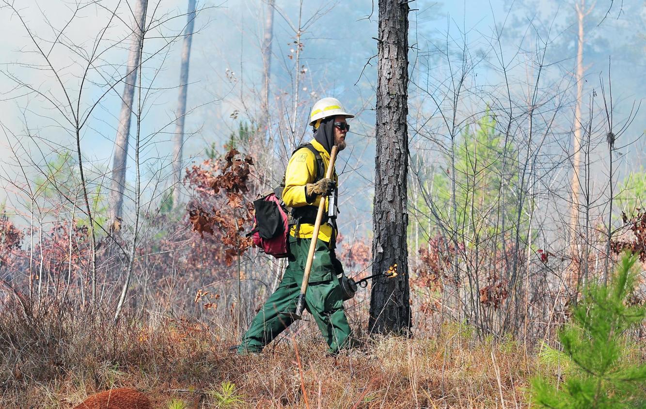 Prescribed burn planned in Talladega National Forest near Heflin ...