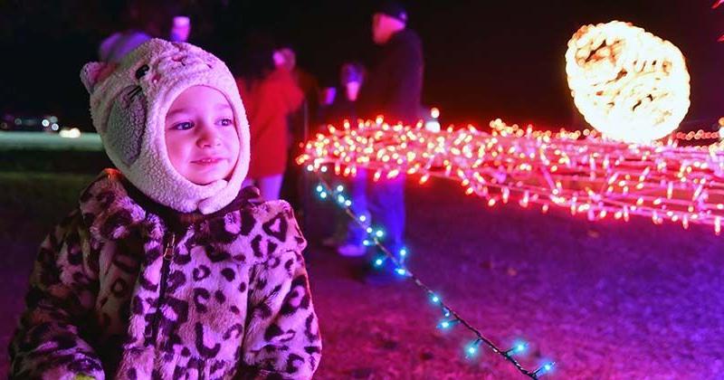 Photo gallery: Gilley's Christmas Lights in Ball Play create magic for ...