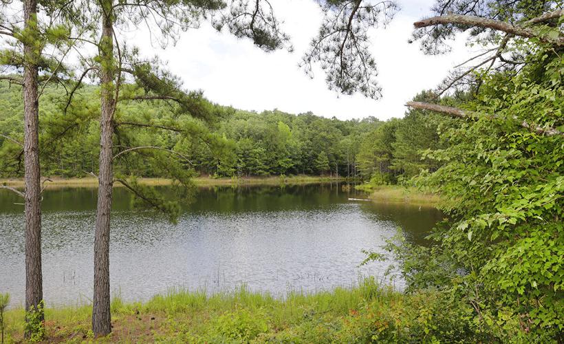 Photos: Yahou Lake at McClellan | News | annistonstar.com