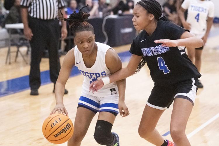 Talladega County tournament: Brown helps pace Winterboro girls to a ...