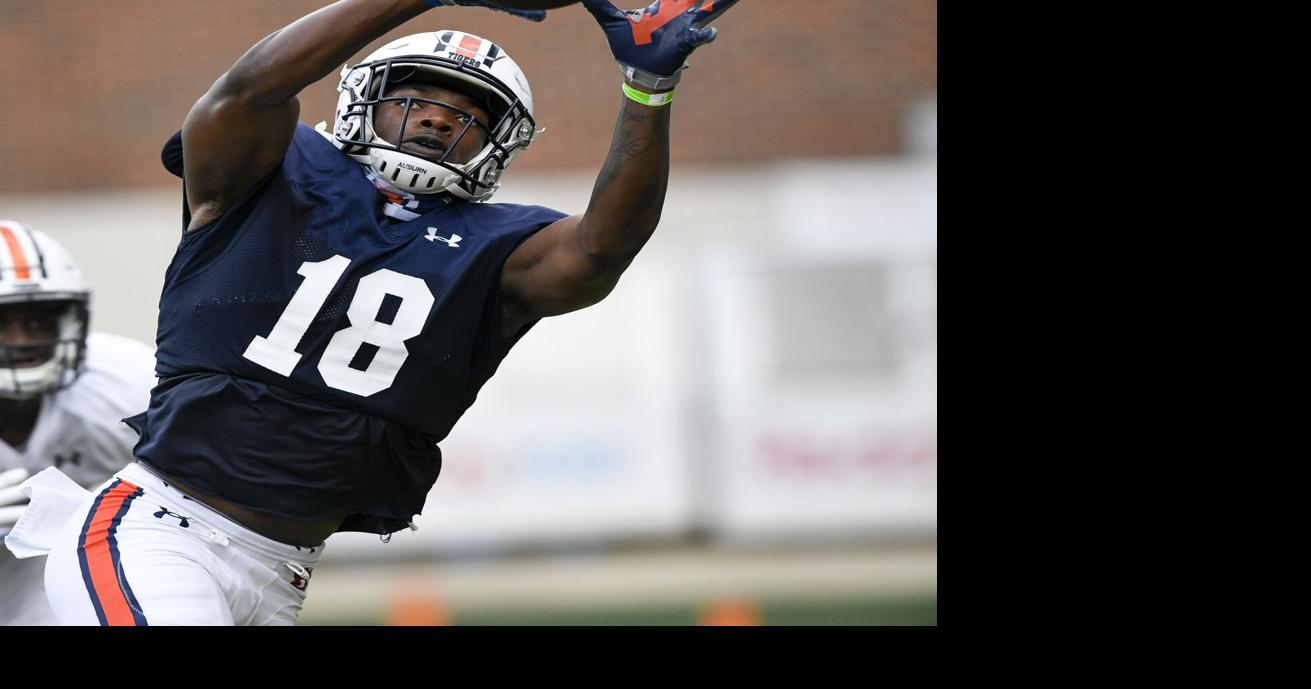 Auburn football: Receiver Seth Williams 'super confident’ after ...
