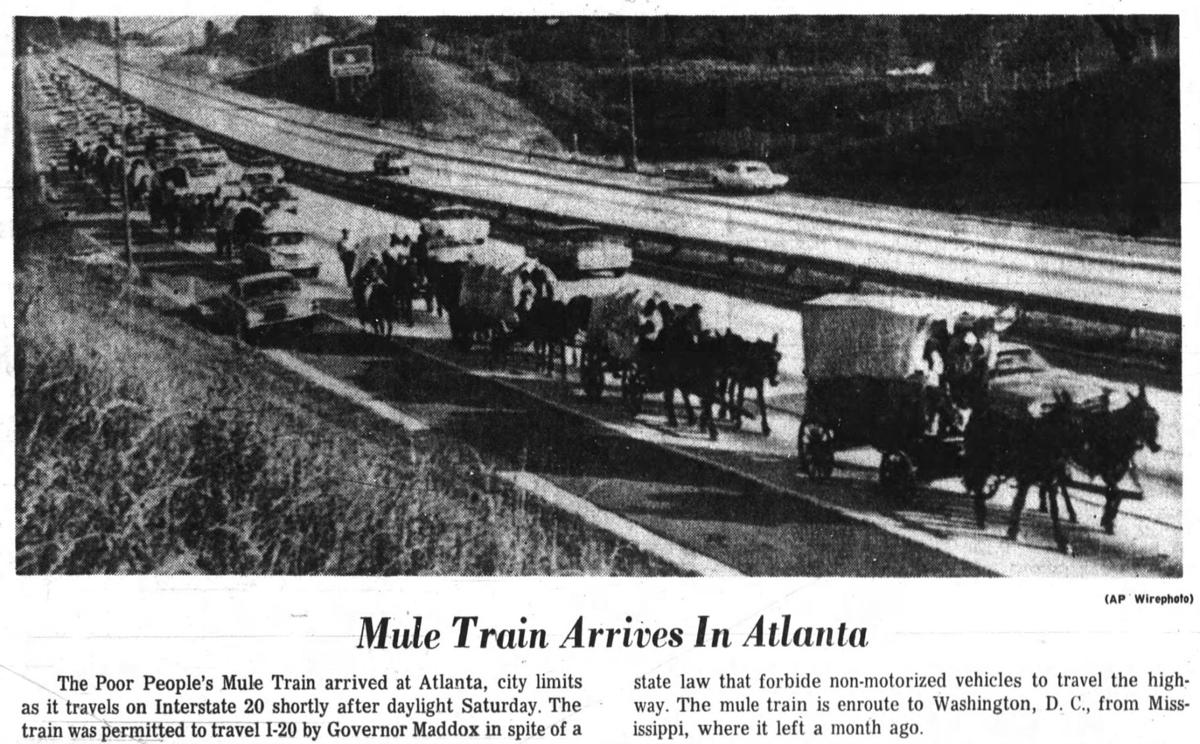 Anniston to mark Mule Train anniversary Saturday | Anniston ...