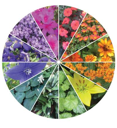 The Southern Gardener: How to mix and match colors in the garden | Home ...