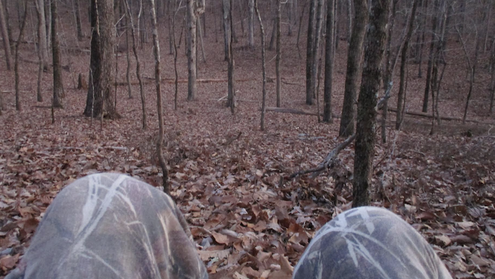 Hunting deer during the rut and pre-rut in Alabama | News ...