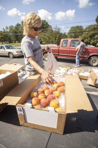 Photos: United Way food distribution | Slideshows | annistonstar.com