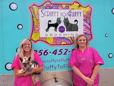 Dog owners rejoice over Scruffy to Fluffy Mobile Spa’s top notch ...