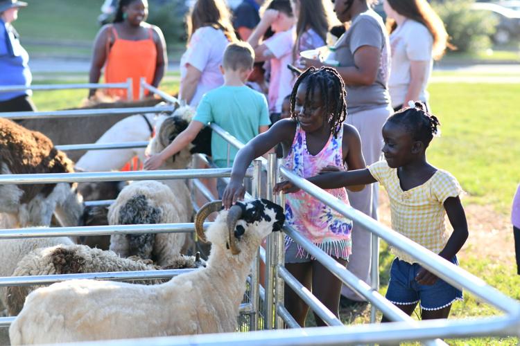 Photo Gallery: Jax Fest 2024 | Jacksonville | annistonstar.com