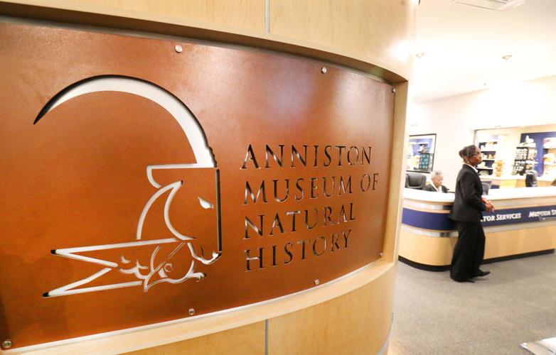 Anniston Museum of Natural History Renovations | News | annistonstar.com