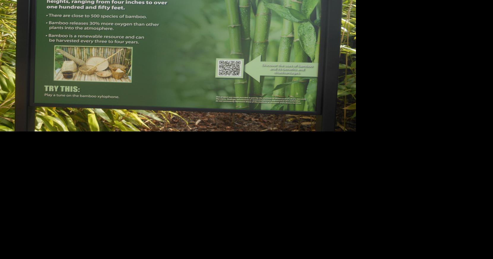 Gain nature knowledge with AMAG’s Learning Hot Spots | Artists in ...