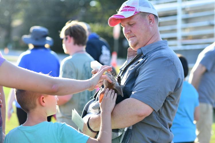 Photo Gallery: Jax Fest 2024 | Jacksonville | annistonstar.com