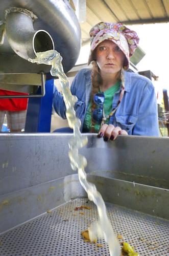 PHOTOS: How Fruithurst Winery Co. makes muscadine wine | Features ...