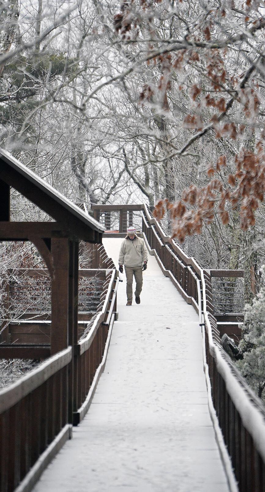 Photo Gallery: Snowy Scenes At Cheaha State Park Saturday Morning ...