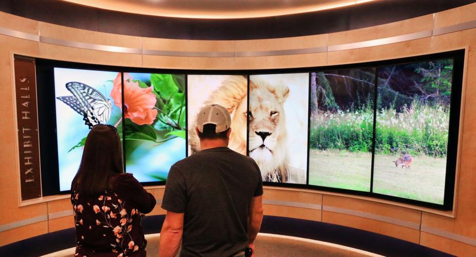 Anniston Museum of Natural History Renovations | News | annistonstar.com