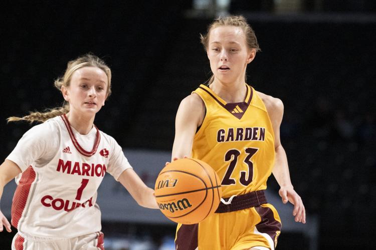 Photos: Spring Garden claims second state title - 1A Girls Basketball ...