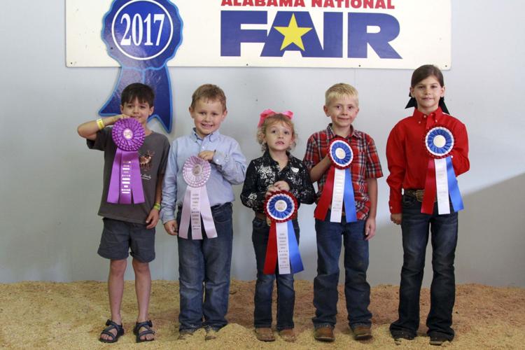 Riley Stephens, of Talladega County, places in 2 events at Youth Swine ...