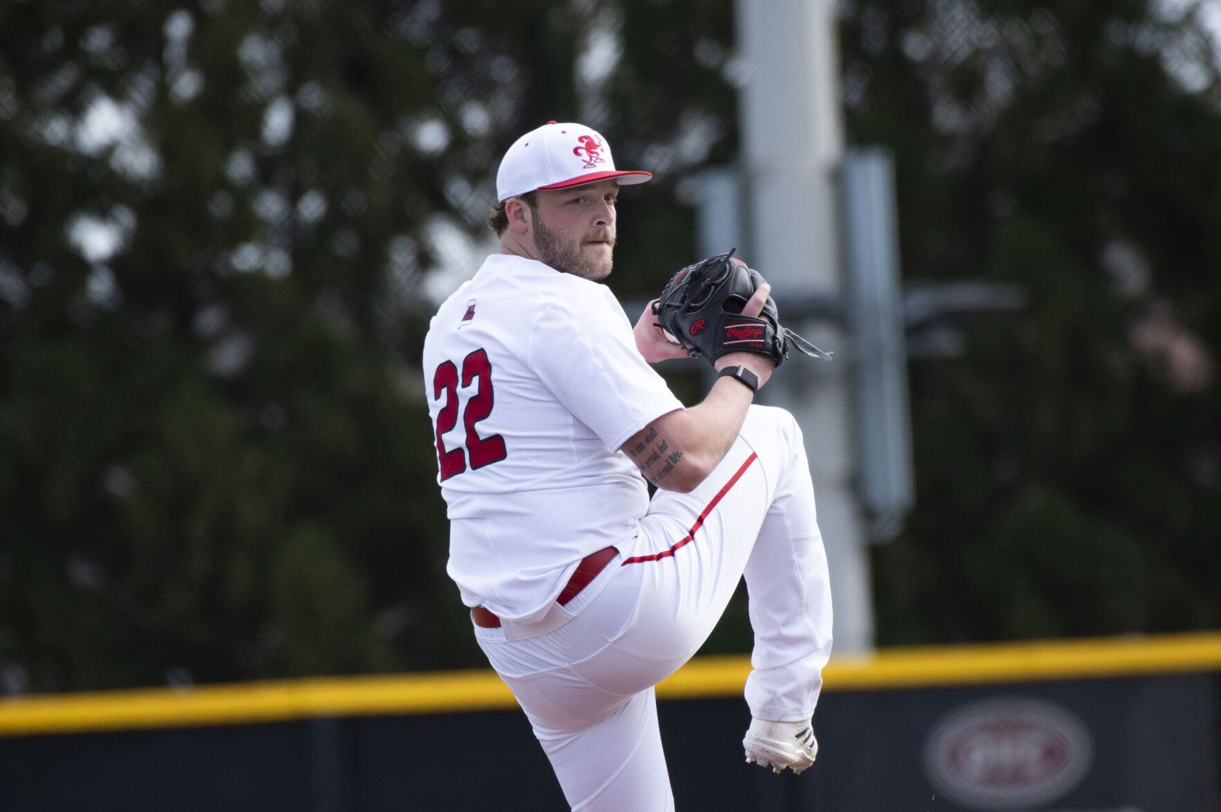 Gamecocks open 2025 baseball season with doubleheader split ...