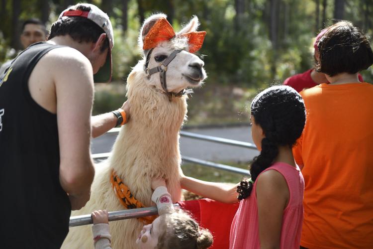 PHOTOS: Scenes from Anniston Museums and Gardens Fall Fest | Slideshows ...