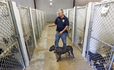 Anniston animals are 43 percent of county pound’s population, could ...