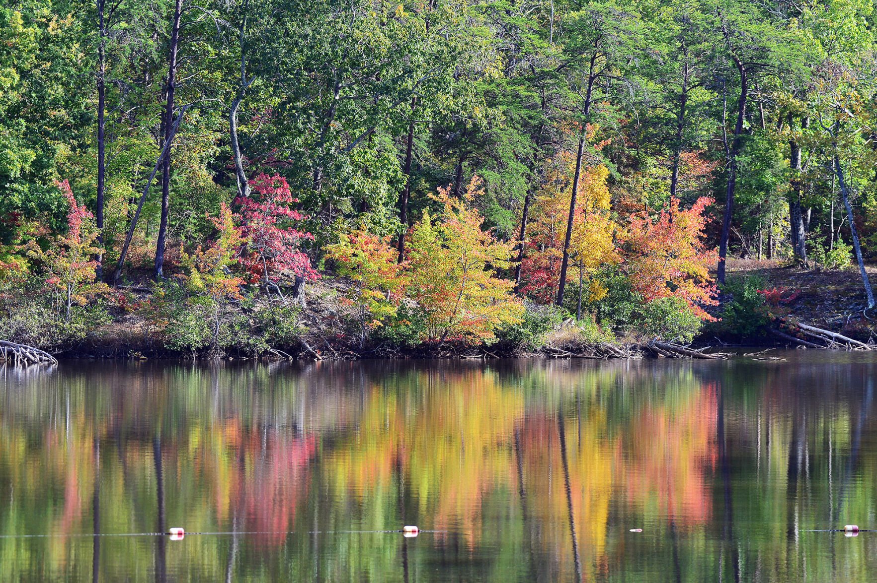 Fall colors arrive at Mount Cheaha | State | annistonstar.com