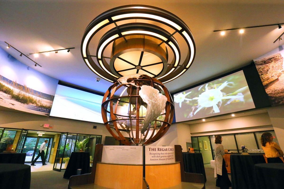 Anniston Museum of Natural History Renovations | News | annistonstar.com