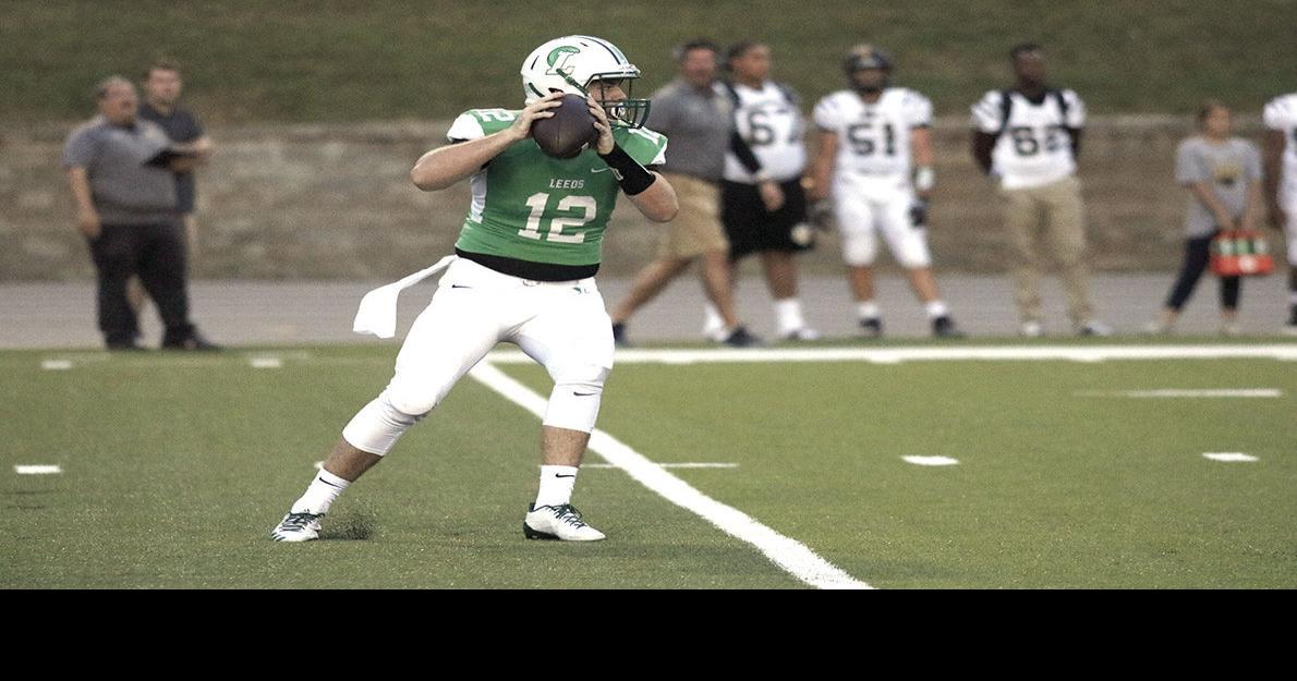 Leeds Green Wave unable to slow down Piedmont Bulldogs | The St. Clair ...