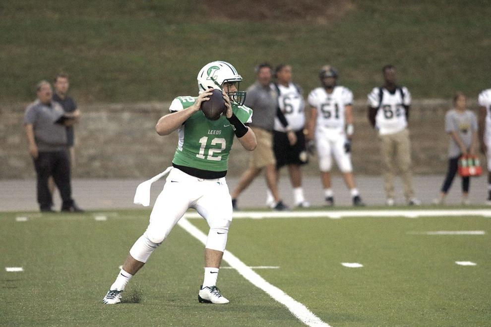 Leeds Green Wave unable to slow down Piedmont Bulldogs | The St. Clair ...