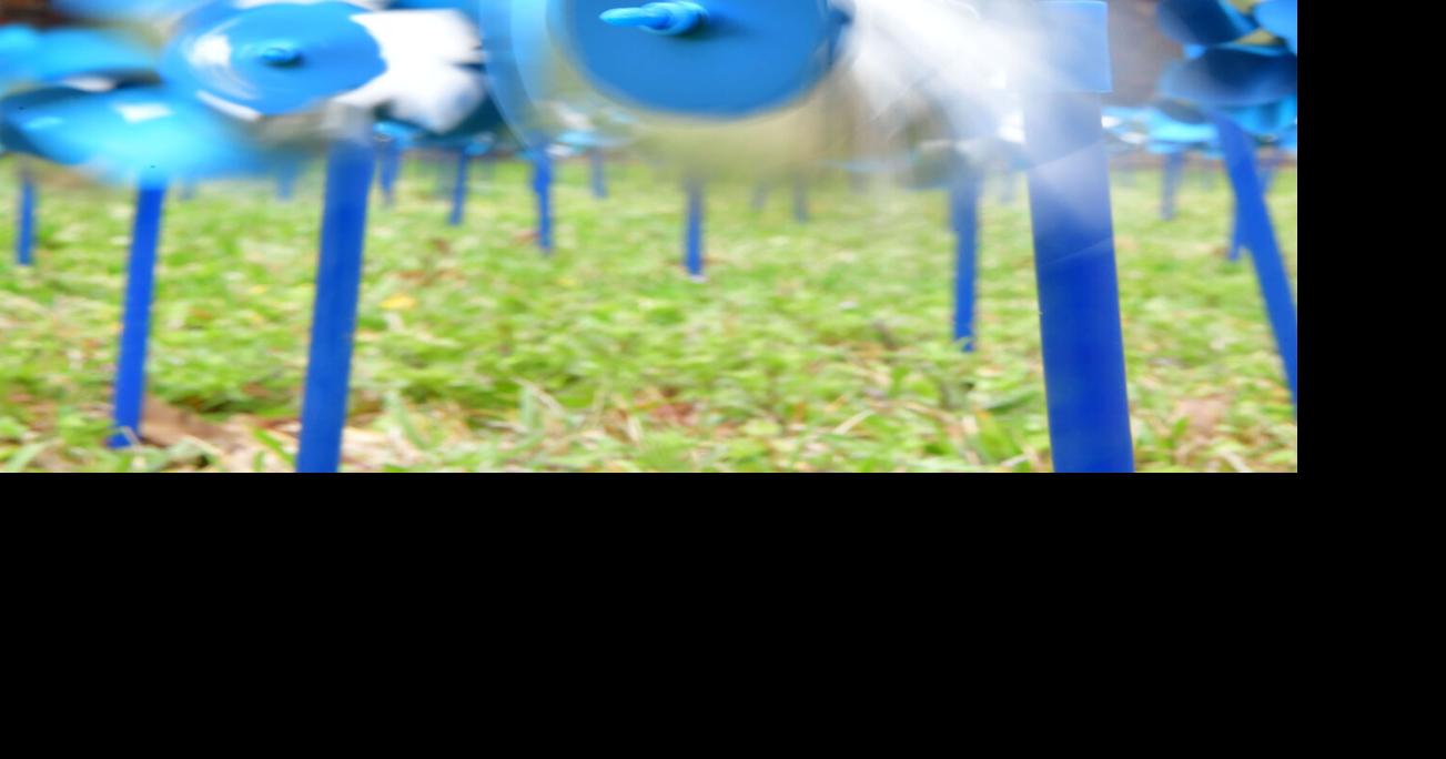 Pinwheels represent the work of the Calhoun-Cleburne Children’s Center ...