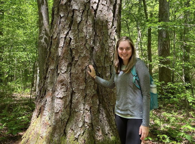 Historic trees enhance the area | News | annistonstar.com