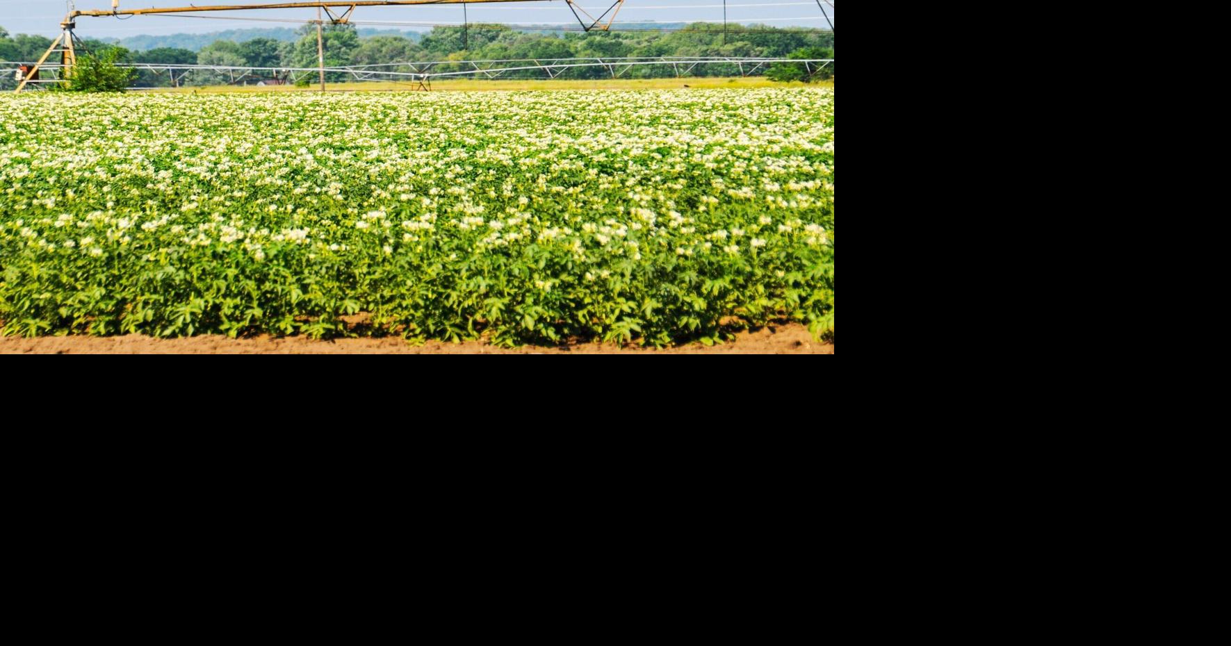 Stephen Boyd: THE MONDAY BRIEF | July 10, 2023 | Free | annistonstar.com