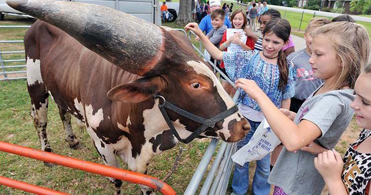 Future Farmers of America Farm Day in Heflin | Slideshows ...
