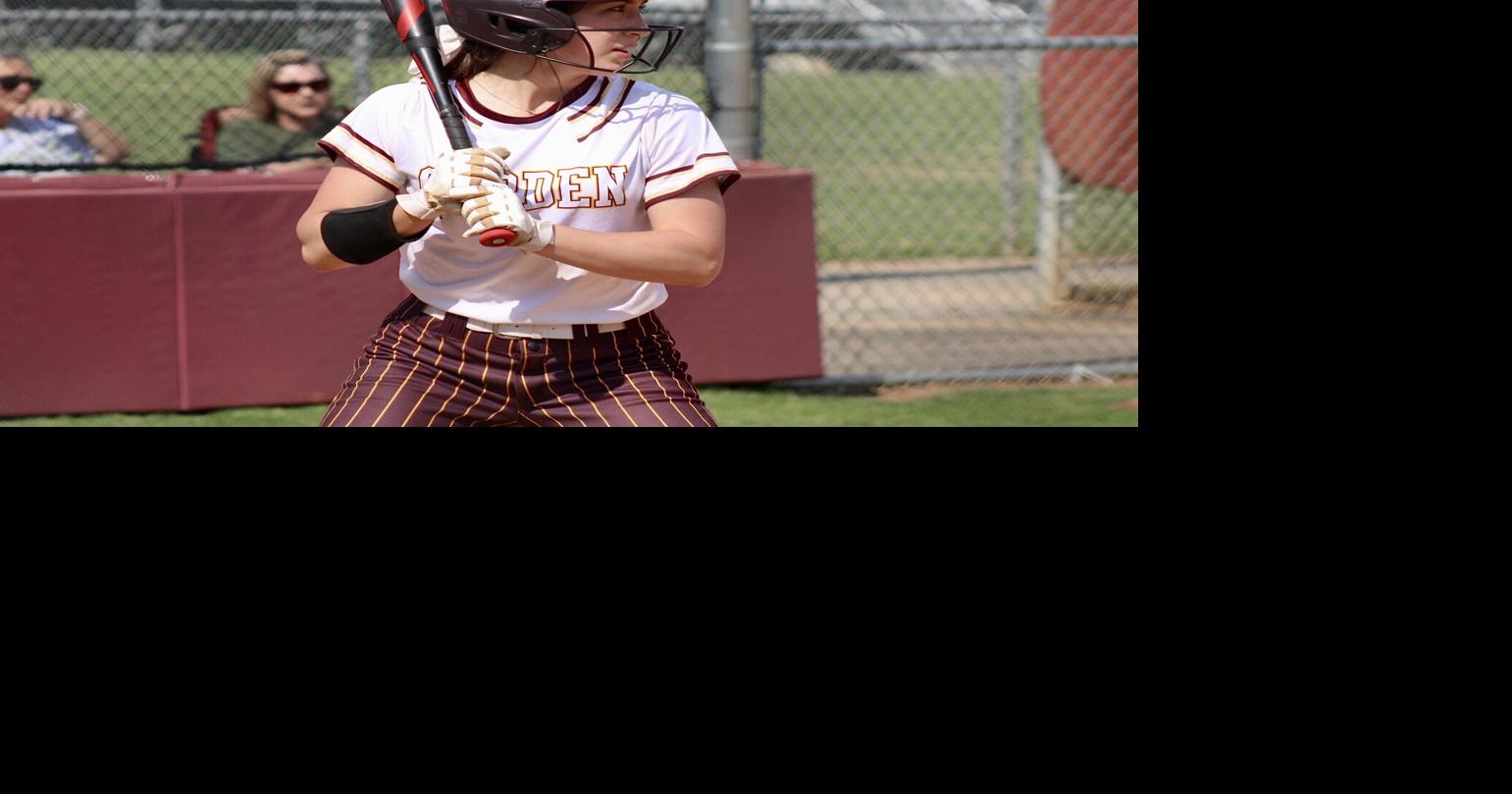 Prep softball: See results from local area tournaments, final regular ...