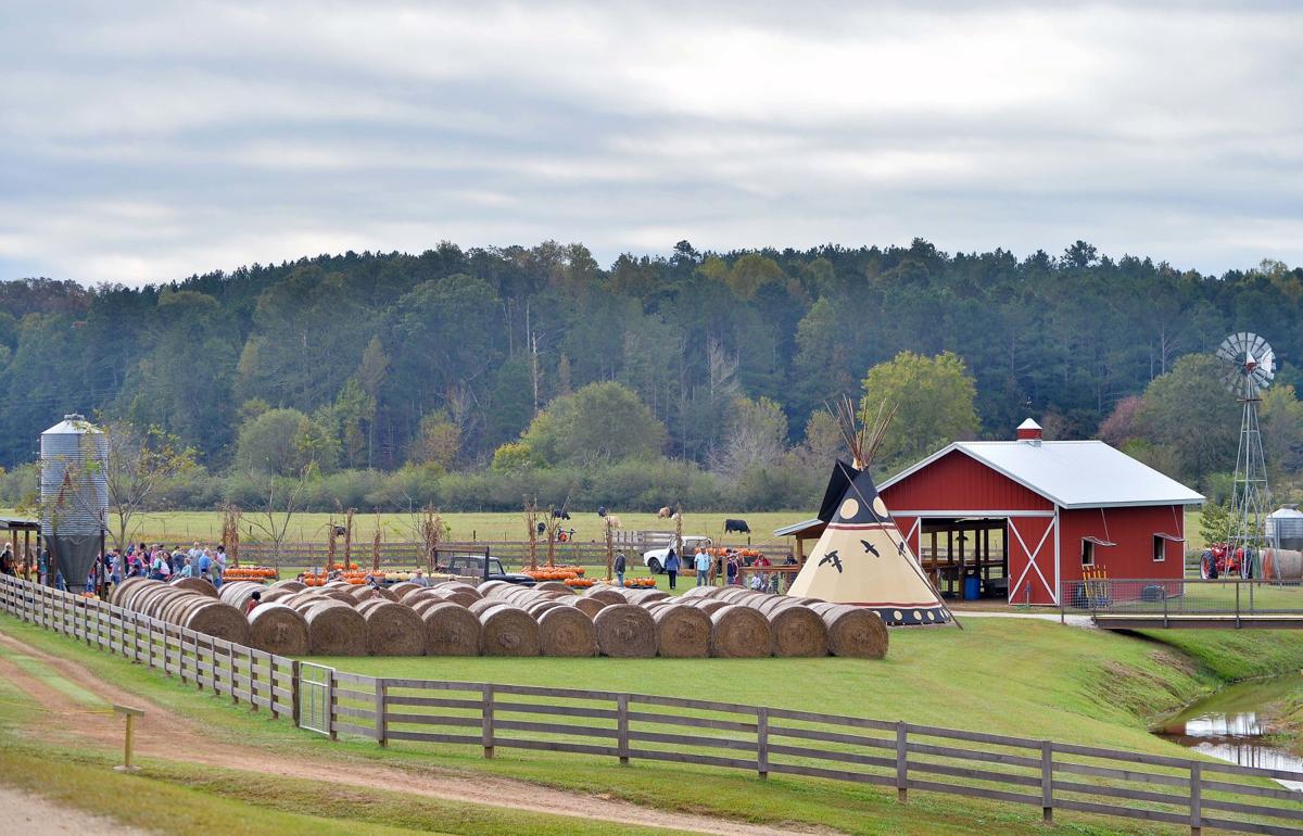 Heflin’s fall attraction Bennett Farms still bringing in visitors ...