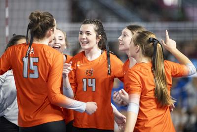 'We can be back': Alexandria's illustrious season ends with five-set ...