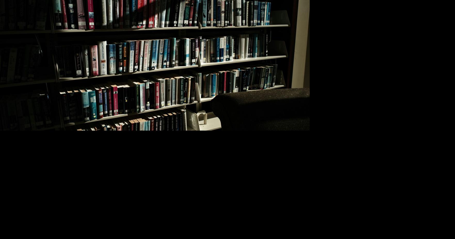 Brett Buckner: What’s a reader to do when his concentration is fleeting ...