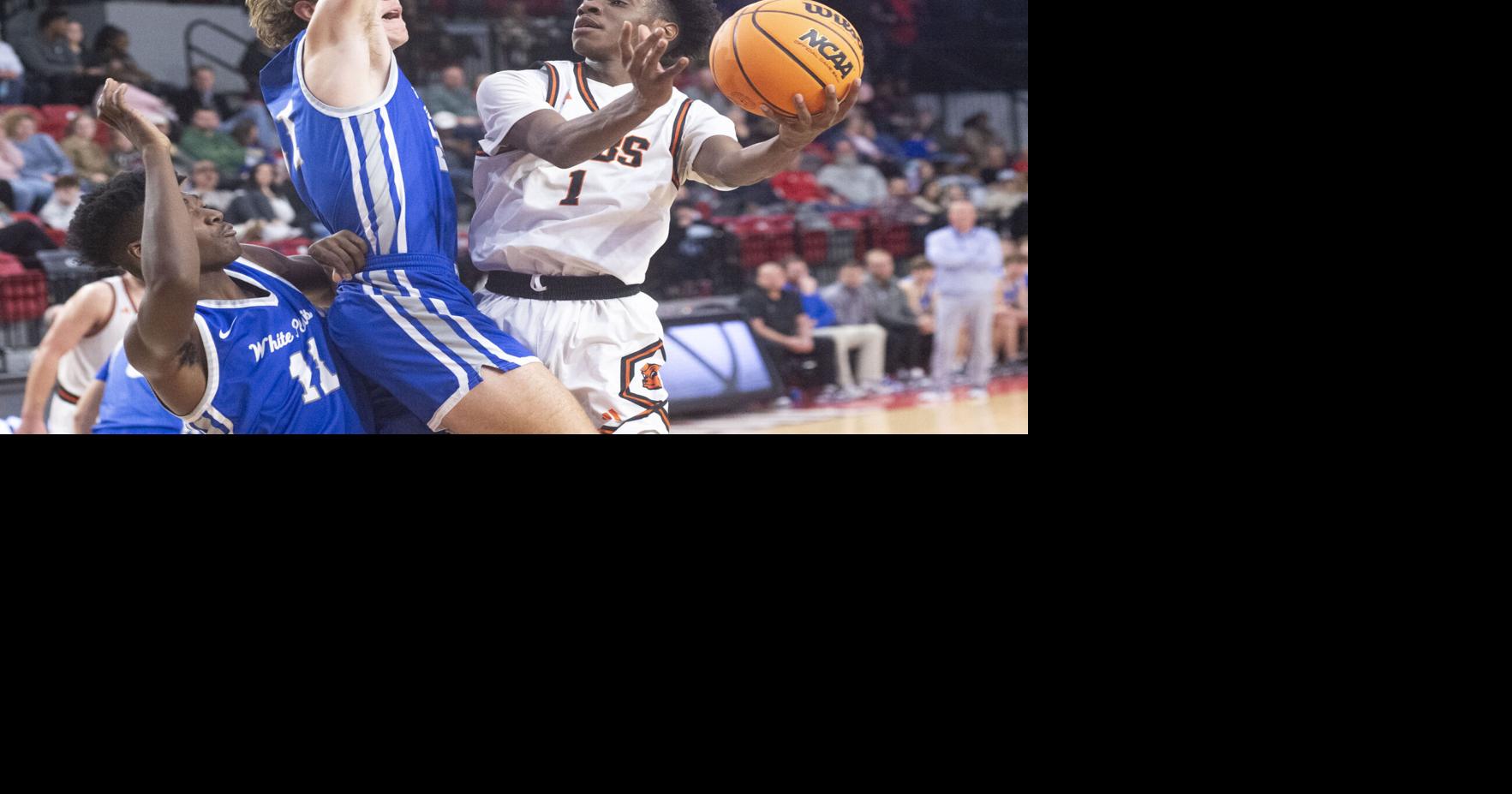 Photo gallery: Alexandria vs. White Plains - boys basketball Calhoun Co ...