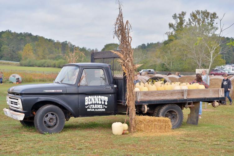 Heflin’s fall attraction Bennett Farms still bringing in visitors ...