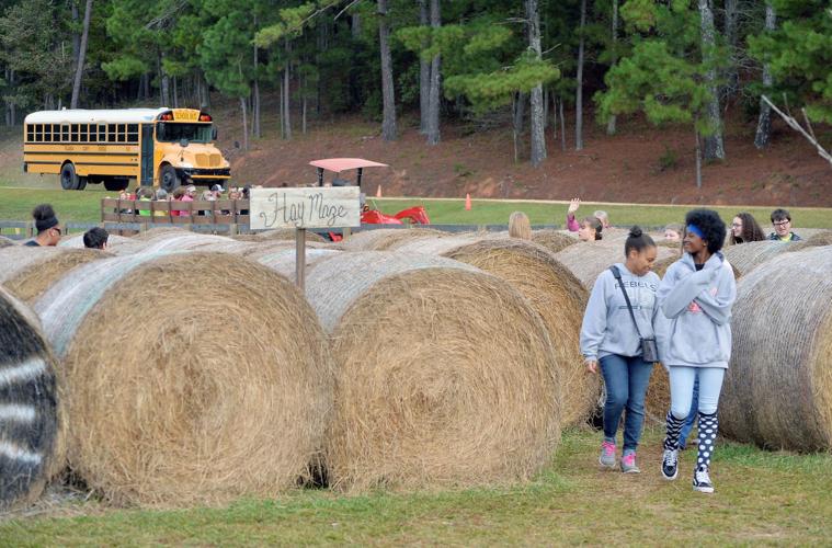 Heflin’s fall attraction Bennett Farms still bringing in visitors ...