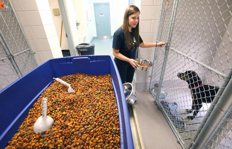 Anniston animal group sheltering dogs evacuated from areas hit by ...