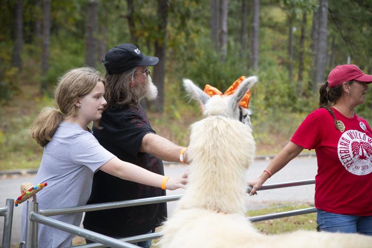 PHOTOS: Scenes from Anniston Museums and Gardens Fall Fest | Slideshows ...