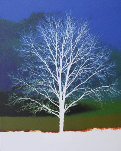 Work by 40 local artists on display this month at Comer Museum (photo ...